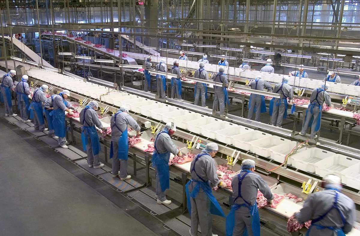 Færre slagtegrise koster i alt 350 medarbejdere jobbet i Sæby og ...