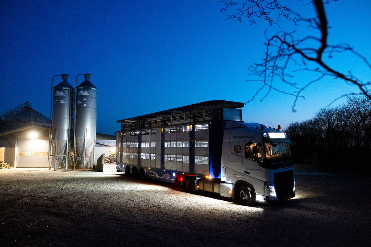 Rekordår i SPF-Danmark - Andelsejere - Danish Crown