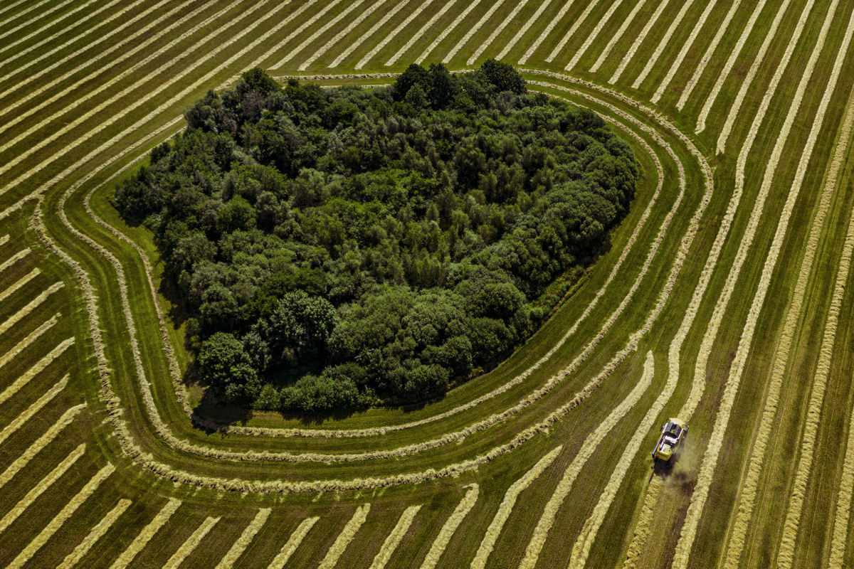 Sustainability - DAT-Schaub