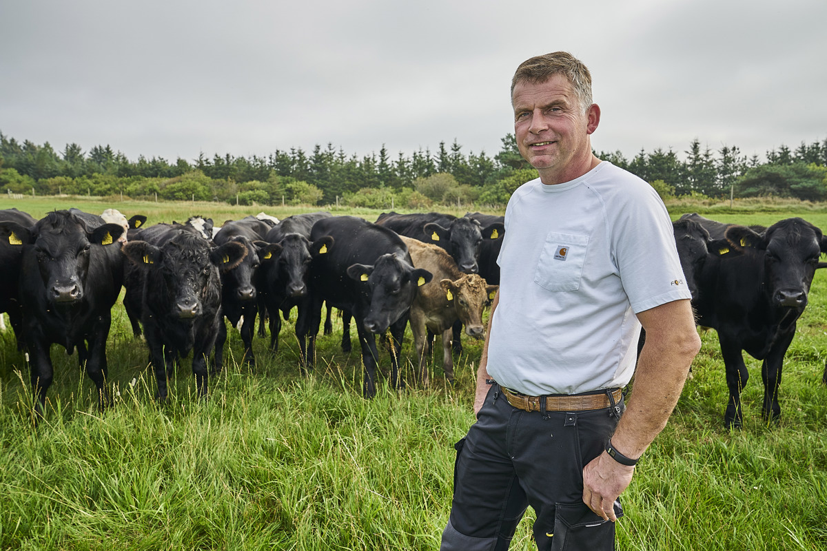 Martin Bojesen - Danish Crown