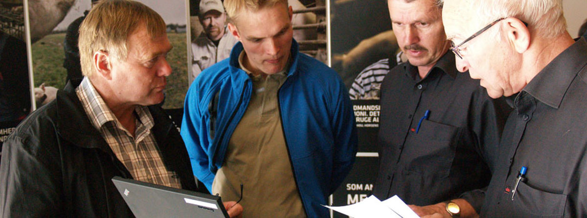 Workshop: 360 grader rundt om grisen - Danish Crown