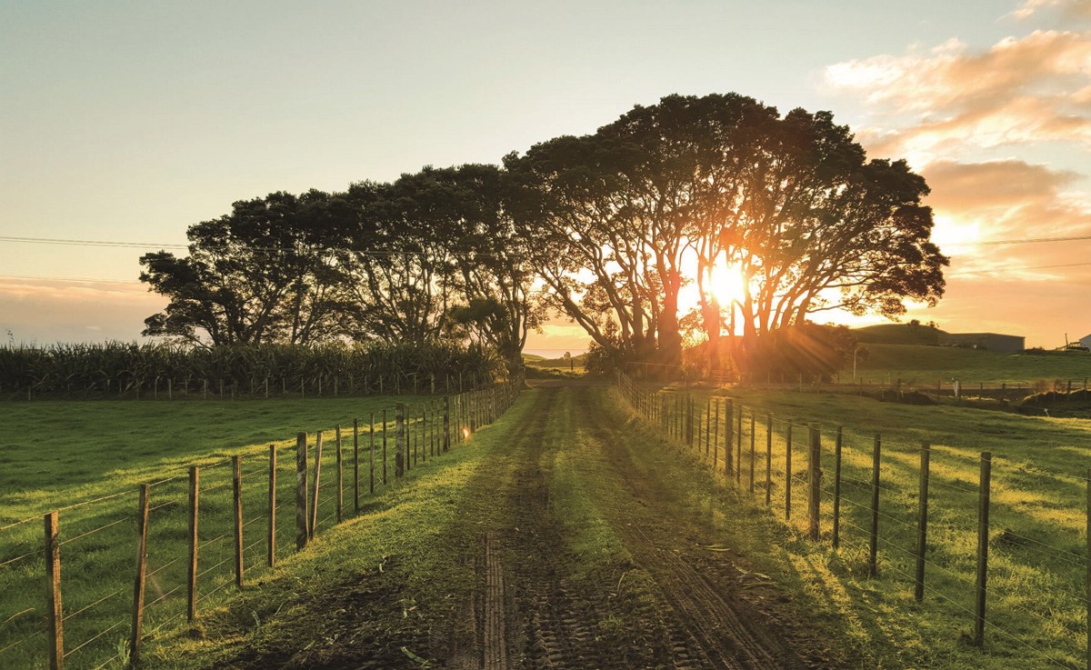 Sustainability - Welcome to DAT-Schaub