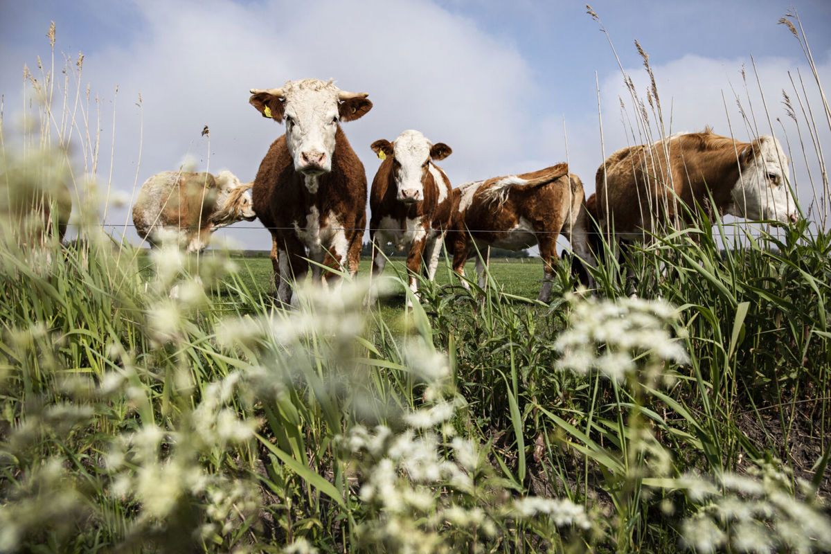 New at DAT-Schaub - Welcome to DAT-Schaub