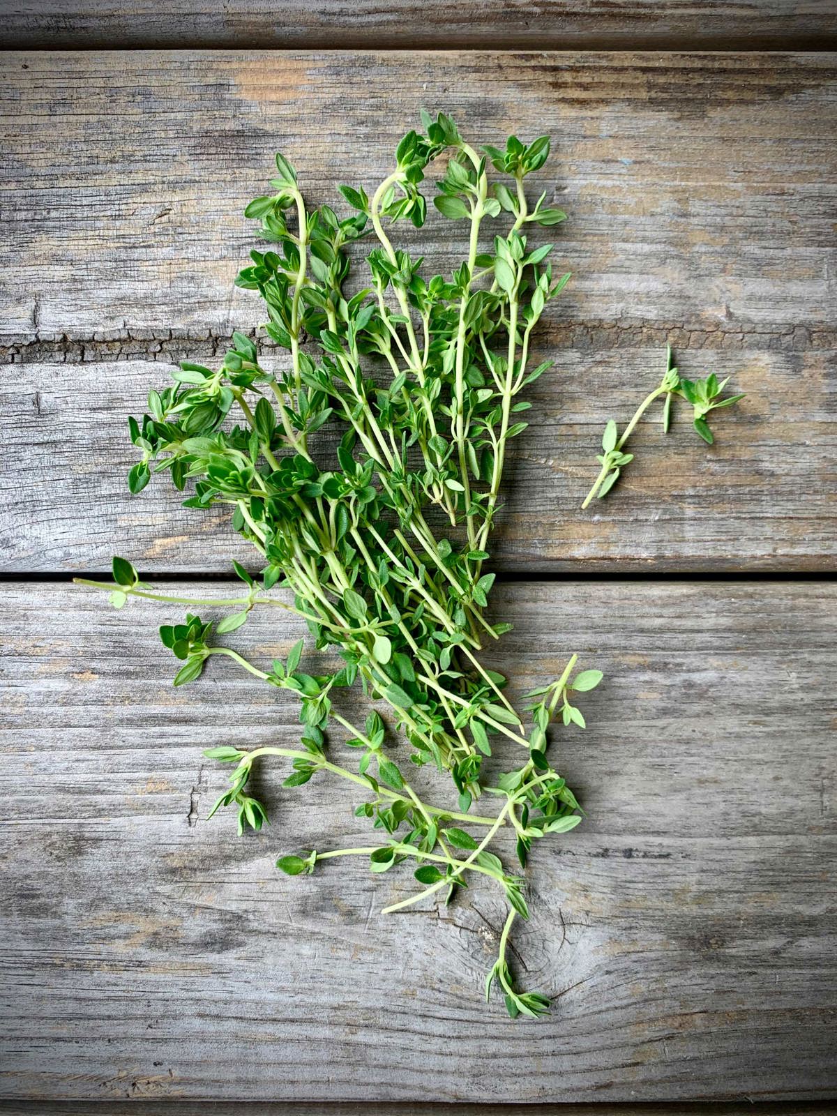 Lær alt om timian – lige fra tilberedning, sæson, tips m.m. - Danish Crown