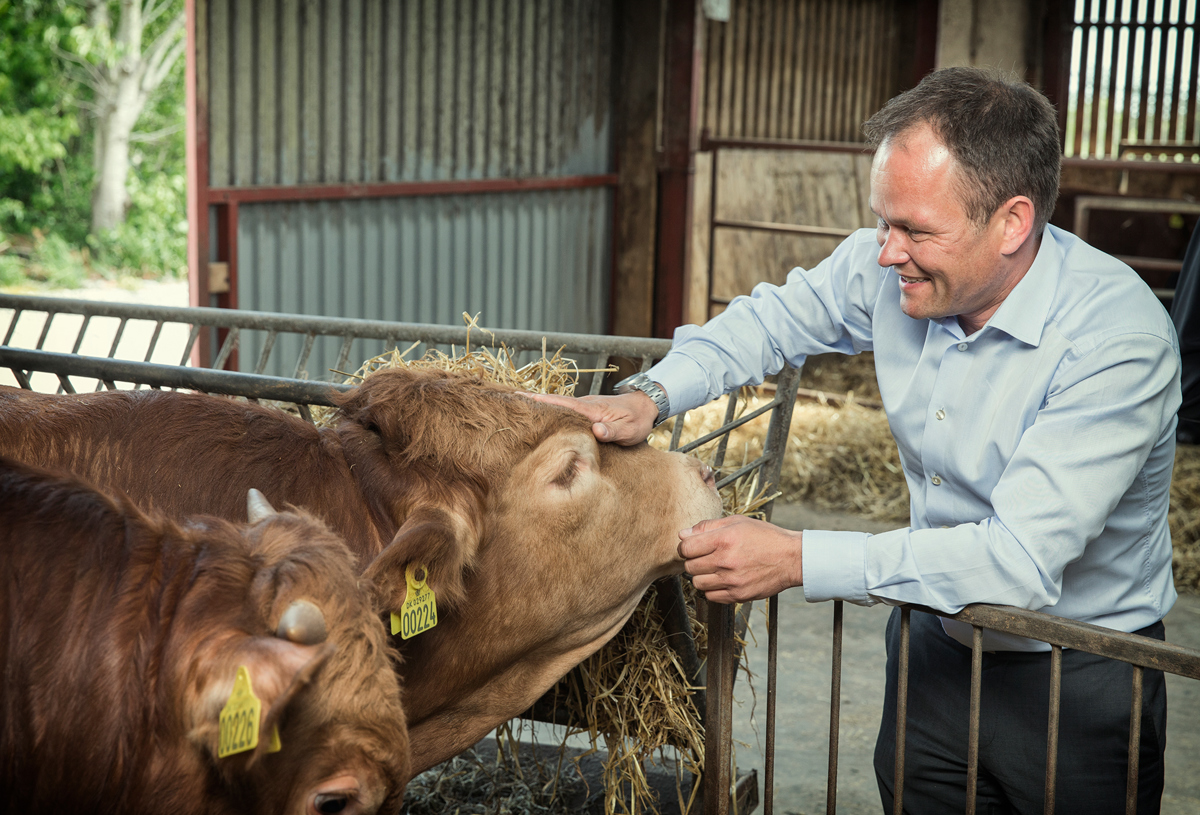 Dansk Kalv på festival - Danish Crown