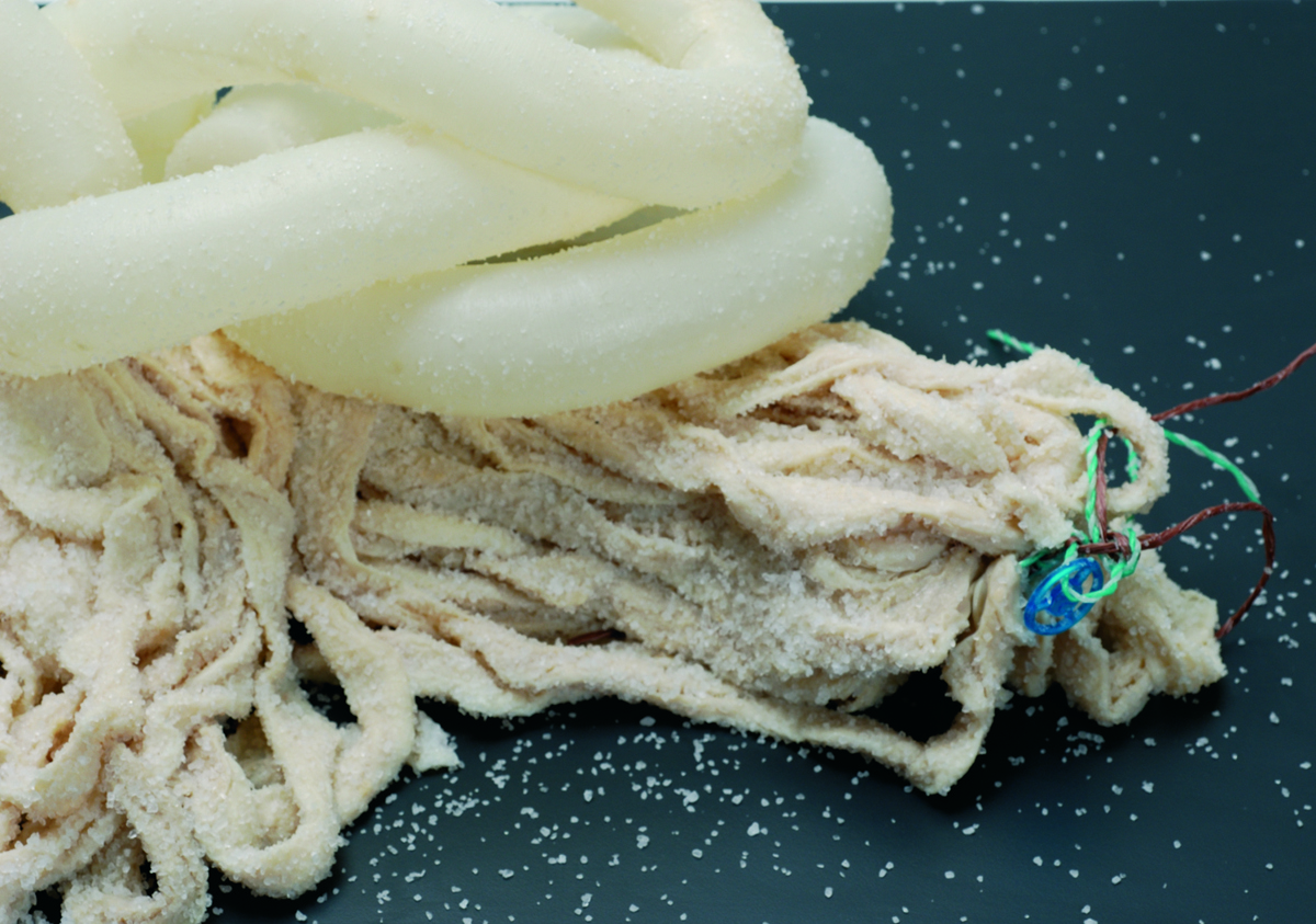 Beef casings - DAT-Schaub