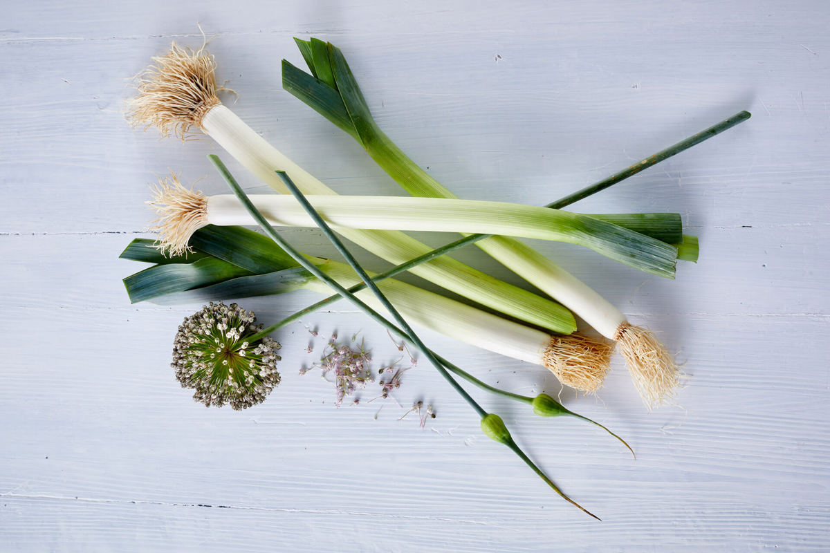 Lær alt om porre – lige fra tilberedning, sæson, tips m.m. - Danish Crown
